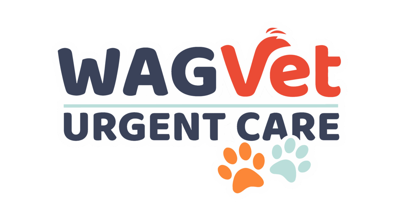 WAG Vet | Best Vet Clinic In Columbia, SC