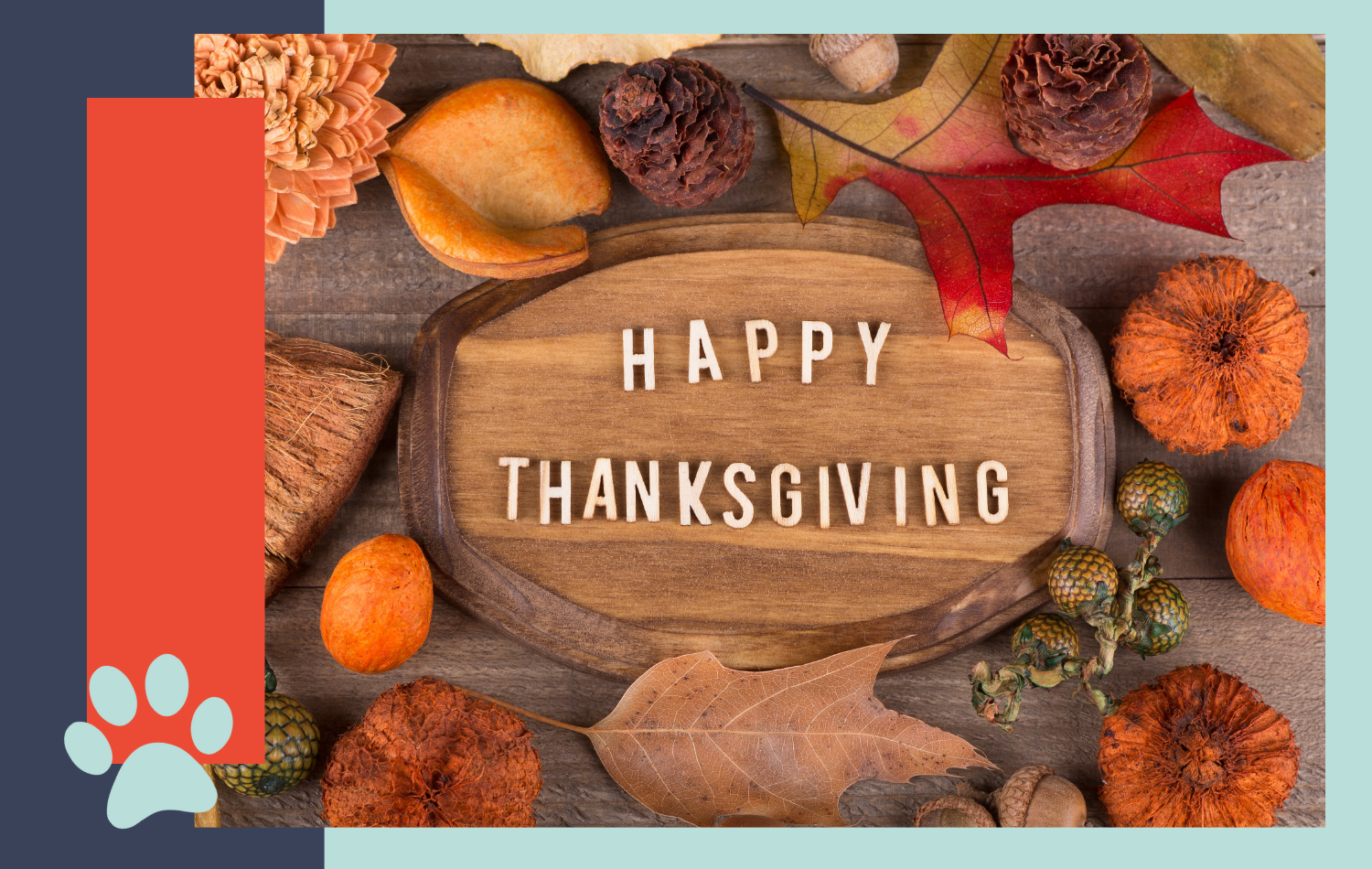 Holiday Safety For Pets: Thanksgiving Edition | WAG Vet