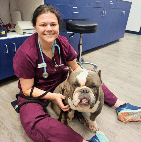 Payment Options For Veterinary Care | WAG Vet